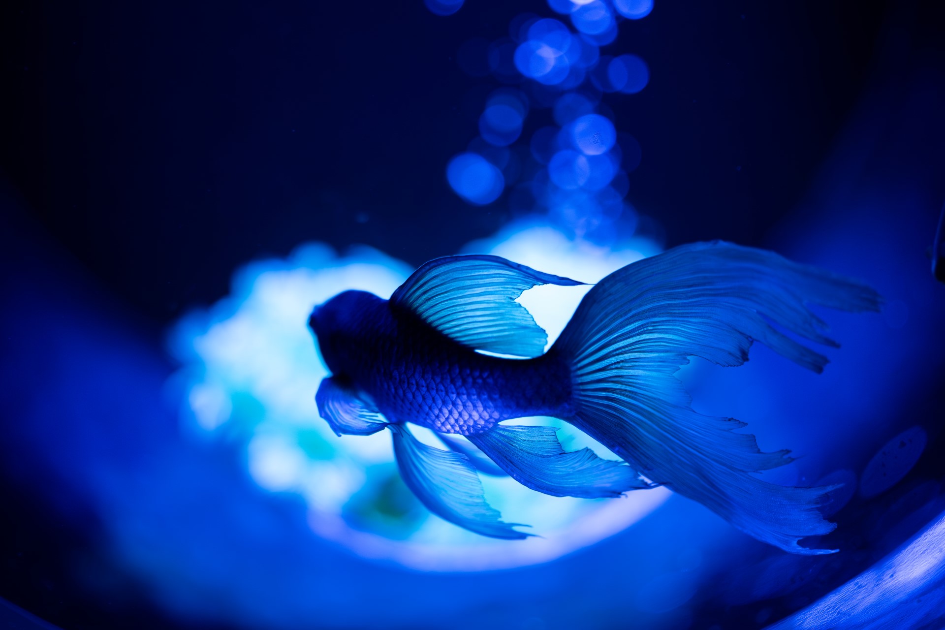 南雲暁彦 写真展「PICTURE-RIUM」 – Shuffle